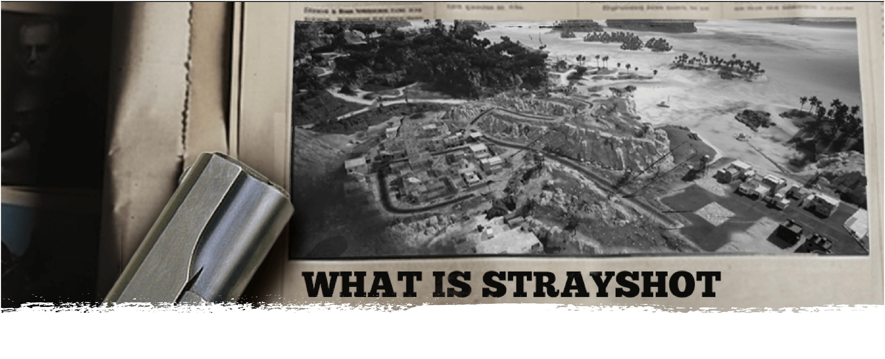 Strayshot | League Of Survivors